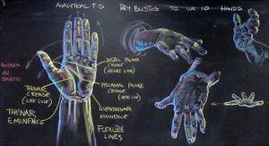 Drawing Tips For Beginners Learn Human Anatomy Wingfox