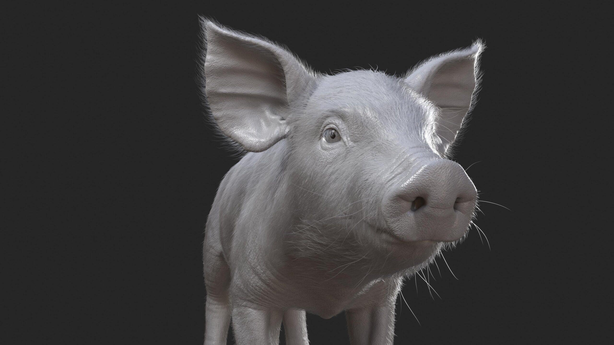 How to Make CG Realistic Animals？ - Wingfox